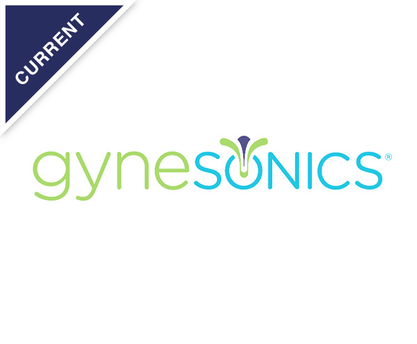 Portfolio | Endeavour Vision