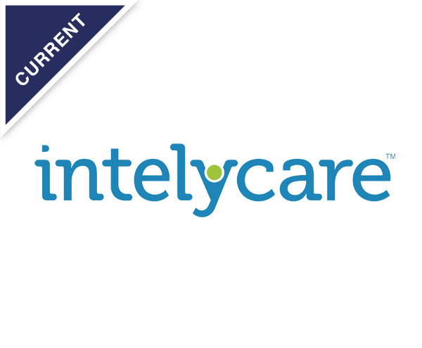 Portfolio | Endeavour Vision